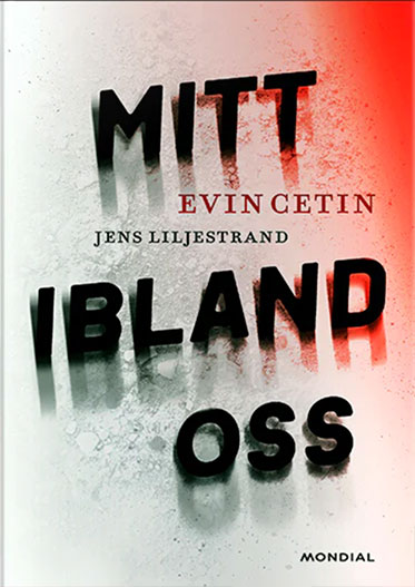 10 lästips: Så kan du förstå gängkriget